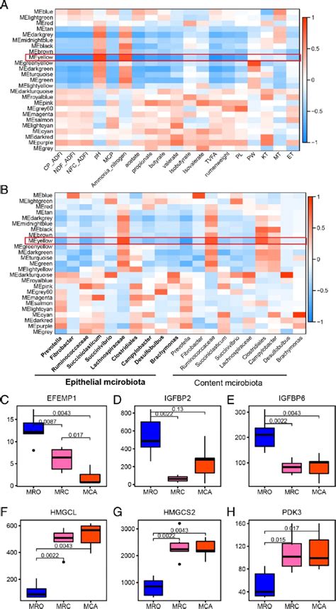 The Correlation Between WGNCA Modules Of The Host Transcriptome And