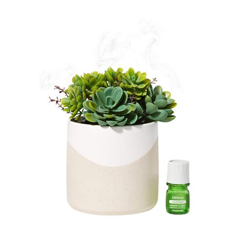 Lifelines Plant Diffuser The Container Store