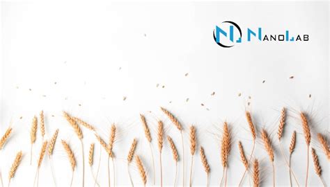 Blog Nanolab Laboratories Group