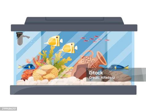 직사각형 유리 수족관 와 물고기 잔디 돌 와 장식 아이템 벡터 일러스트 레이 션 흰색 배경에 고립 되어 있습니다 0명에 대한 스톡 벡터 아트 및 기타 이미지 Istock