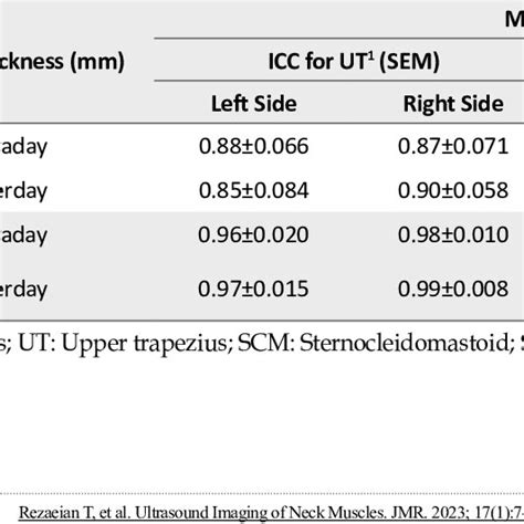 Intraday And Interday Reliability For Muscles Thickness Download