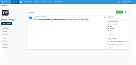 database deployment automation using octopus and redgate deployment suite for oracle octopus