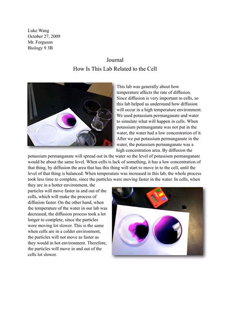 Diffusion Lab Report Pdf