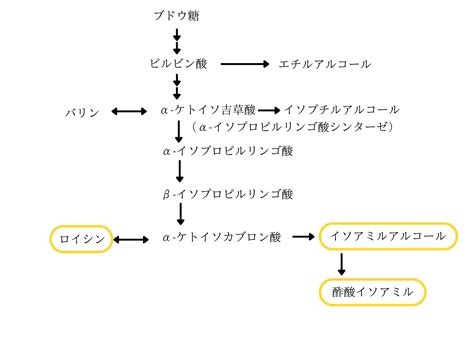 [shimadzu] Story 01 味わいを科学する 日本酒「源遠流長」づくりプロジェクト 2024 島津製作所