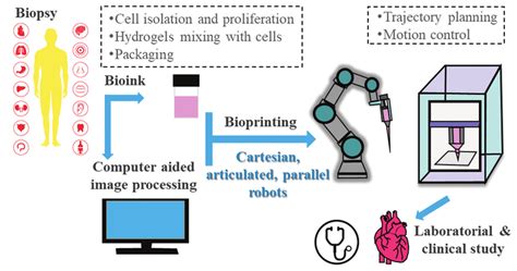 Typical Process Of Robotic Assisted Bioprinting Download Scientific Diagram