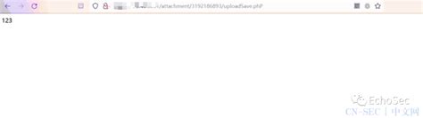 E Mobile Exp Cn Sec