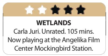 Fluid Mechanics Dallas Voice