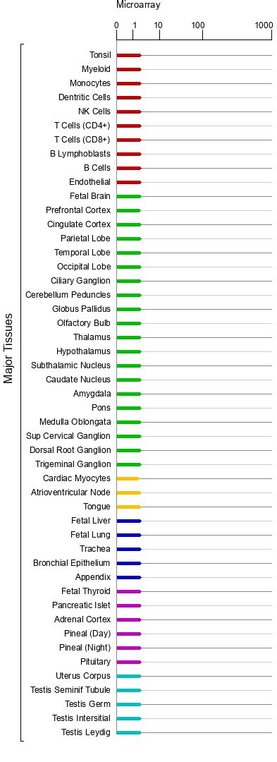 Opn4 Gene Genecards Opn4 Protein Opn4 Antibody