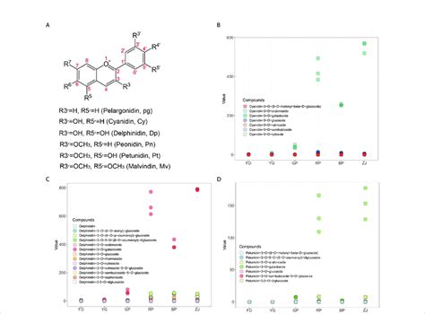 The Main Types Of Anthocyanins Accumulation In C Sinensis A The Download Scientific Diagram