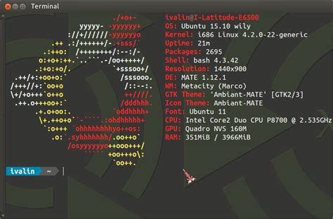 Cool Terminal For Um Tips And Tricks Ubuntu Mate Community