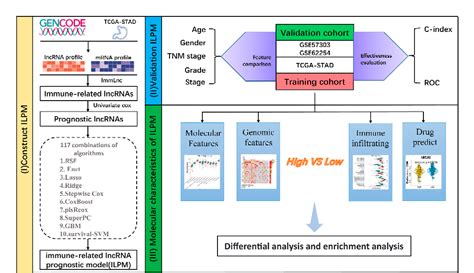 Figure 1 From Integrating Multiple Machine Learning Algorithms For Prognostic Prediction Of