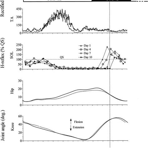 Example Of The Persistence Of The Adapted H Reflex Modulation Pattern Download Scientific