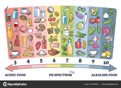 Exemplos De Alimentos Acidos Alimentos Para La Piel Valio Beyond