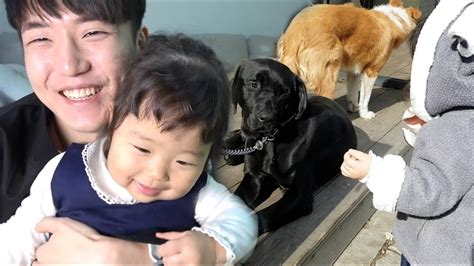 강아지를 너무나 좋아하는 조카를 위해 쏫 Youtube