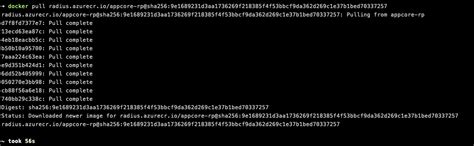 `rad Env Init` For Self Hosted Is Taking Too Long To Initialize ~34
