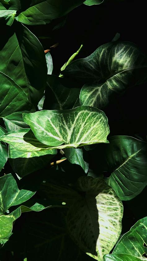 Sekisvideo Videos Download The Best Free 4k Stock Video Footage