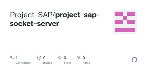 GitHub Project SAP Project Sap Socket Server