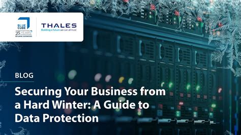 Cybersecurity Datasecurity Encryption Tokenisation Thales Blue Cube Security Ltd