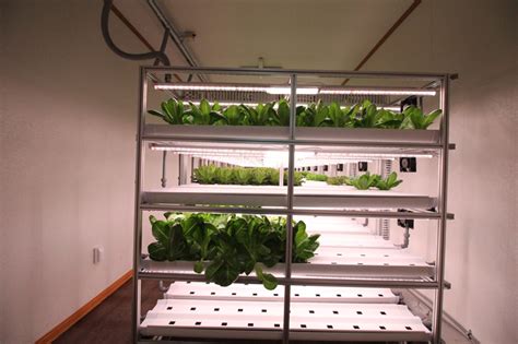 컨테이너 식물재배 세상을 바꾸는 농장 세바팜