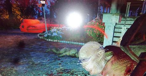 Display Bug Album On Imgur