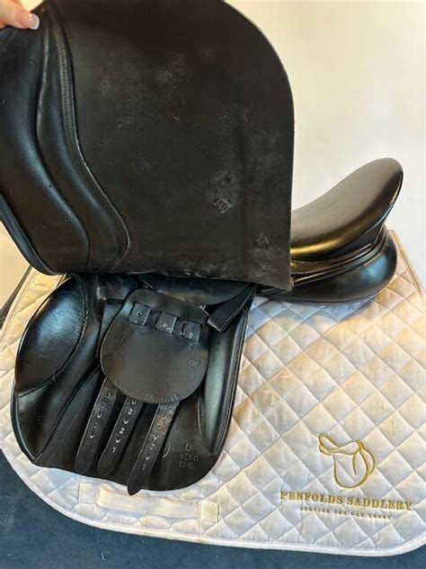 Jefferies Falcon Hawk Penfolds Saddlery
