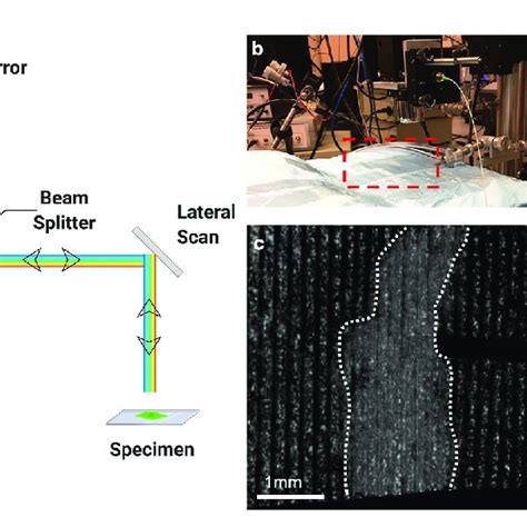Optical Coherence Tomography And Elastography A Schematic Of Optical