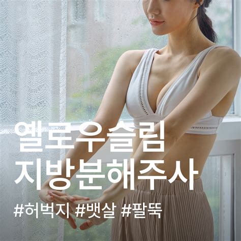 No 스테로이드 지방분해주사 할인 가격 후기 전후 효과 정보 By 지타워의원구로 여신티켓 국내 1등 피부과 성형외과 플랫폼