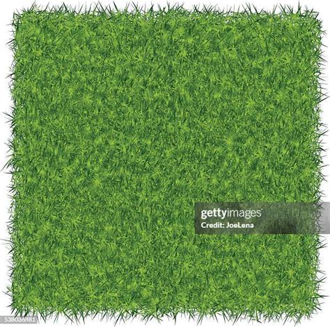 Grass Green Texture Photos And Premium High Res Pictures Getty Images