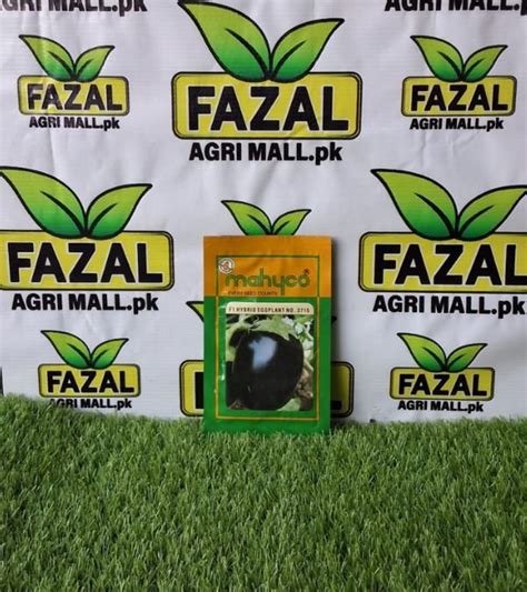 Hybrid Eggplant Seeds