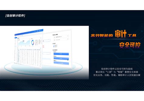 江苏税软软件科技有限公司