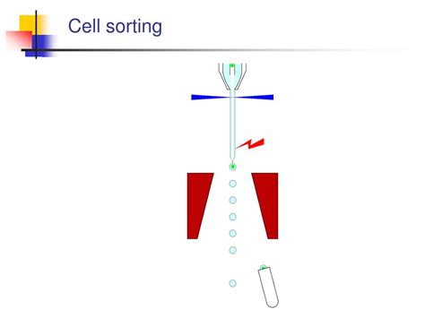 PPT Basics Of Flow Cytometry PowerPoint Presentation Free Download ID 232645