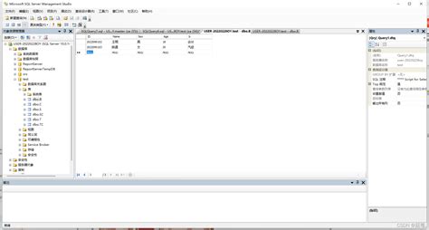 Sql Server 数据库的插入、 修改、删除数据操纵数据库插入 Csdn博客