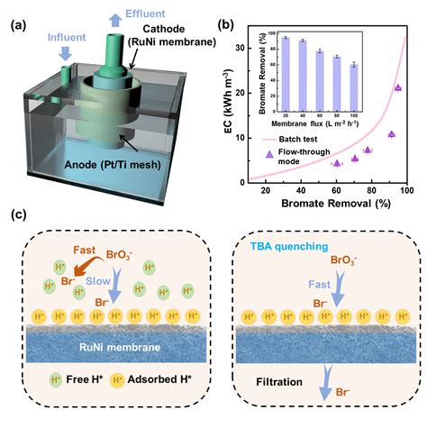 Electrochemical Membrane With Metal Heteroatom Interface For Bromate Reduction Efficacy And