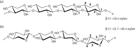 16 Structure Of Xylan With Linkage Download Scientific Diagram