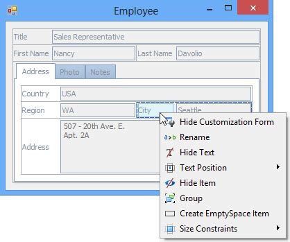 Default Runtime Customization Winforms Controls Devexpress Documentation