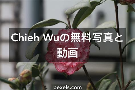 Chieh Wu 写真