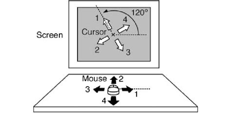 Relationship Between Direction Of Mouse Movement Black Arrows And Download Scientific Diagram