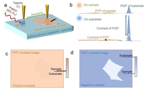 Ultrathin Samples With Surface Phonon Polariton Enhance Photoinduced Dipole Force Lifeboat