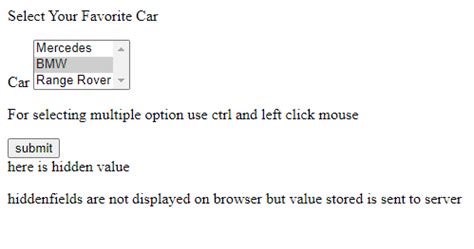 Forms In HTML Select Label And Hidden Tags