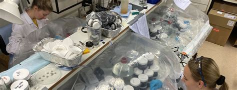 Ngi Geochemical Testing