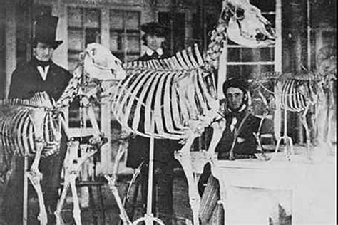 Uncovering Edgar Allan Poe The Science Buff