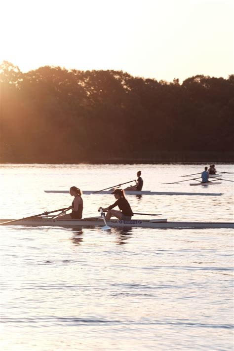 Rowing Aesthetic Artofit