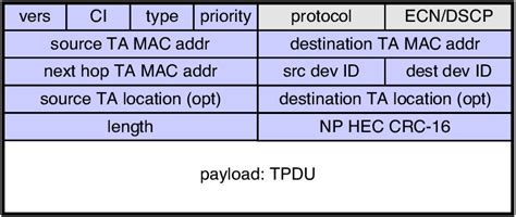 Aeronp Packet Structure Download Scientific Diagram