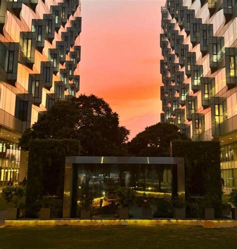 Excited To Share A Personal Milestone Ive Been Promoted To Software