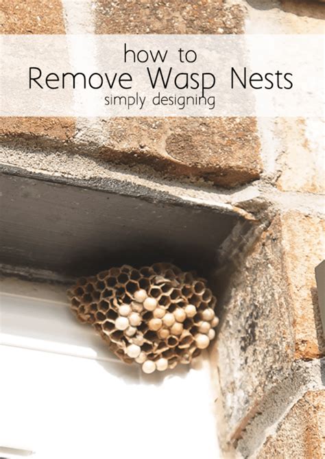 How To Remove Wasp Nests