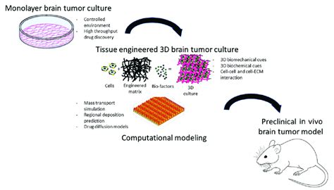 In Vitroin Silico Predictive Brain Tumor Models Identify Candidate