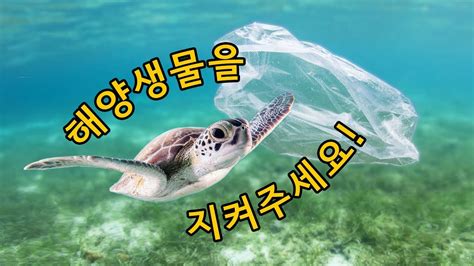해양생물을 지켜주세요 Youtube