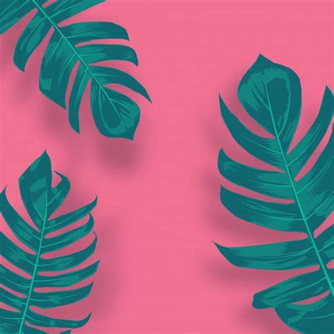 Green Mostera On Pink Background