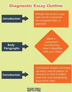 How To Write A Diagnostic Essay Step By Step Guide