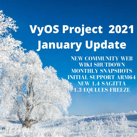 Vyos Project January 2021 Update
